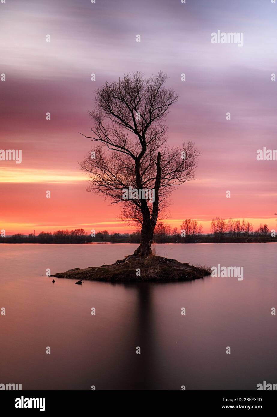Sunrise sunset tree mountain silhouette hi-res stock photography and ...