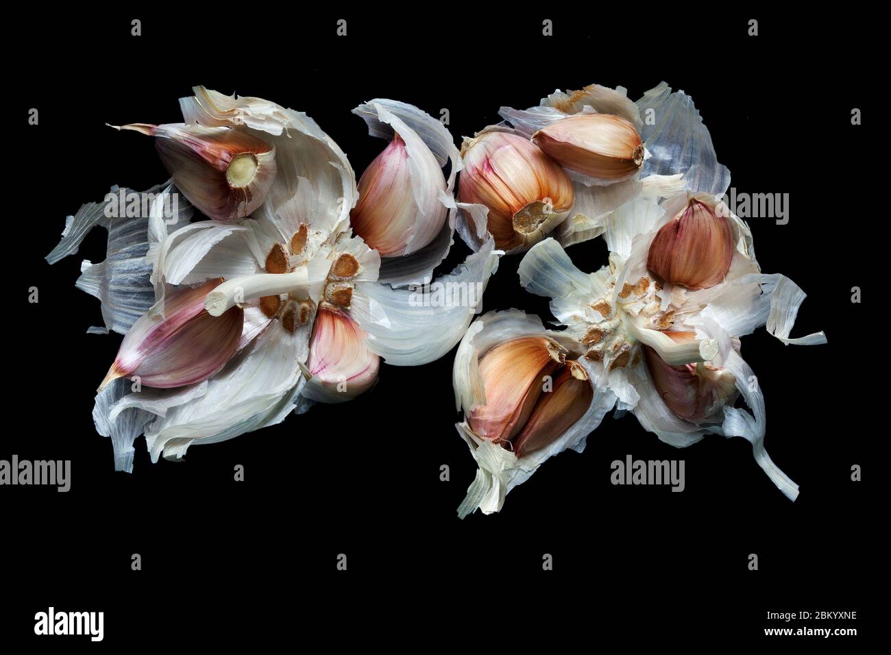 Garlic skins hi-res stock photography and images - Alamy