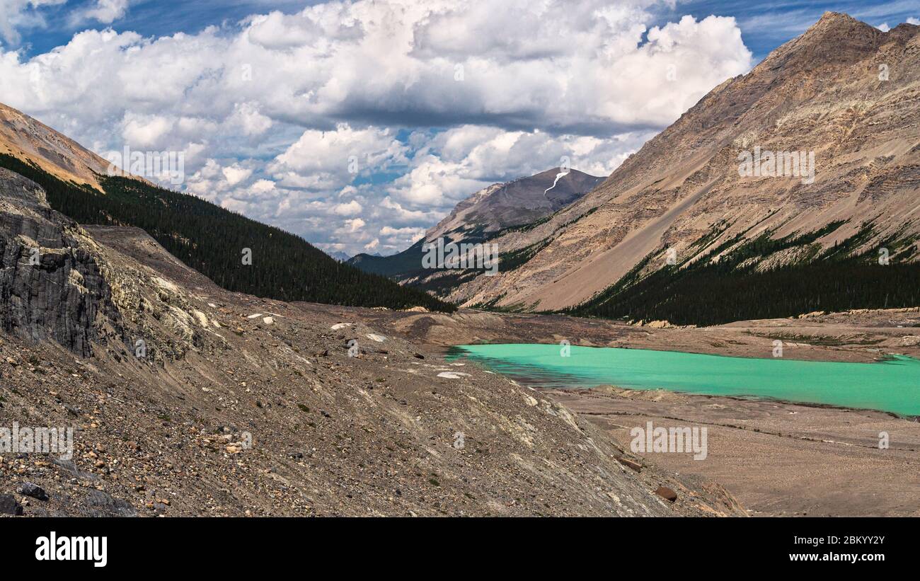 athabaska glacier view in the summer season, alberta, canada Stock ...