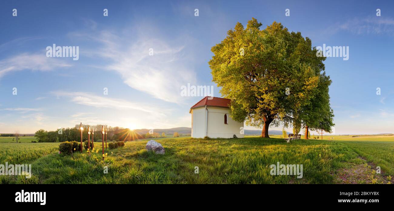 Beautiful grass field spring hi-res stock photography and images - Alamy