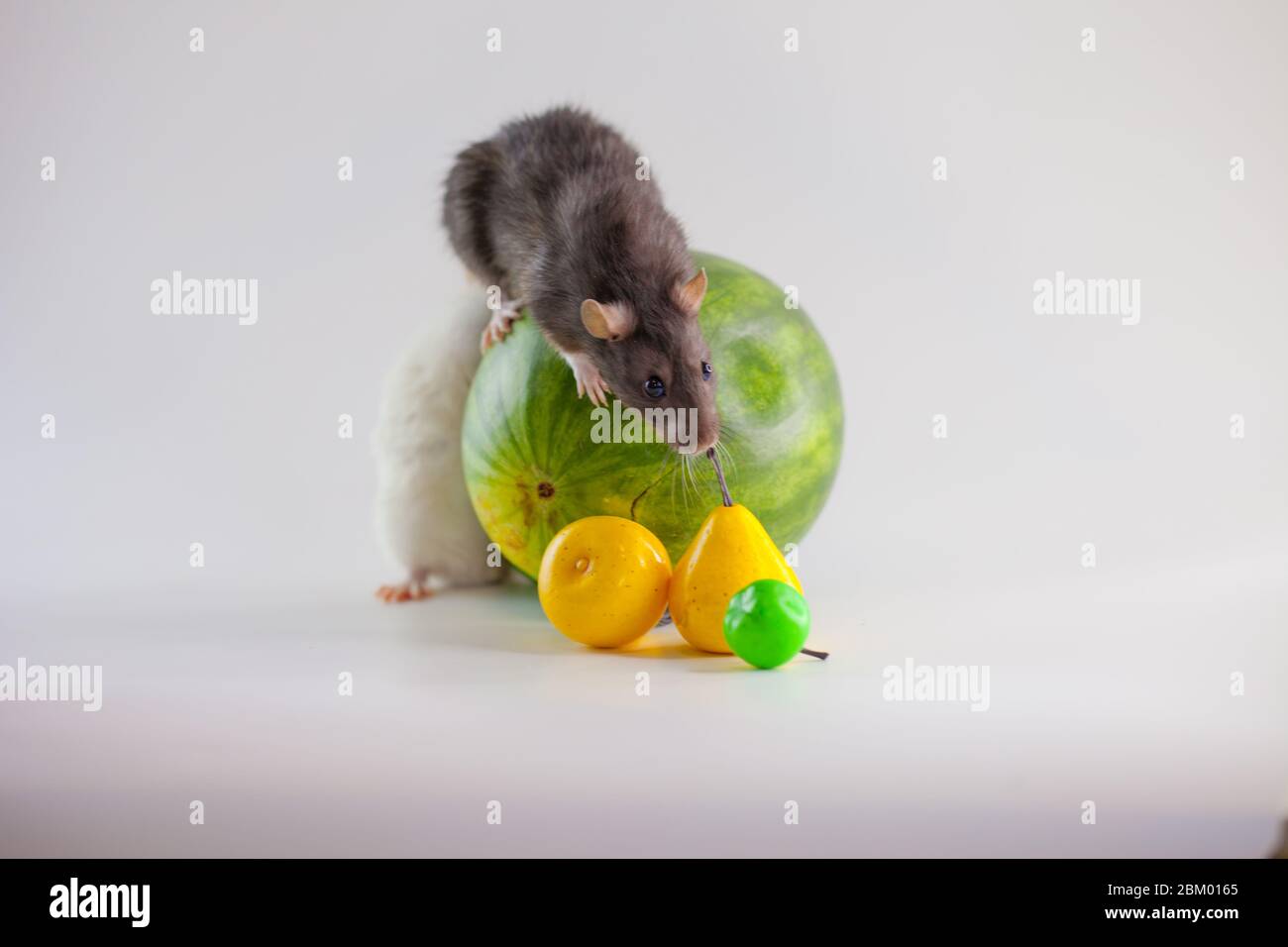 Fruit sanitation hi-res stock photography and images - Alamy