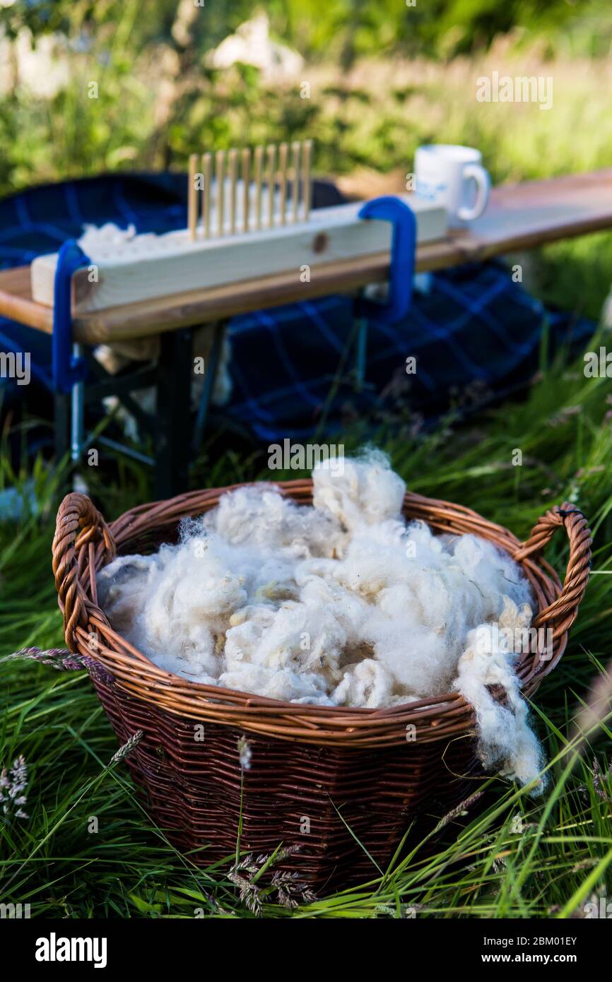 Sheep in wooden basket hi-res stock photography and images - Alamy