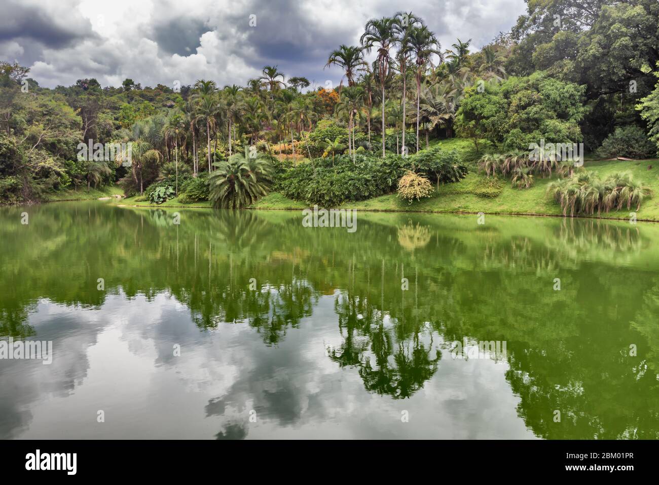 Park, Inhotim Institute, Brumadinho, Minas Gerais state, Brazil Stock ...