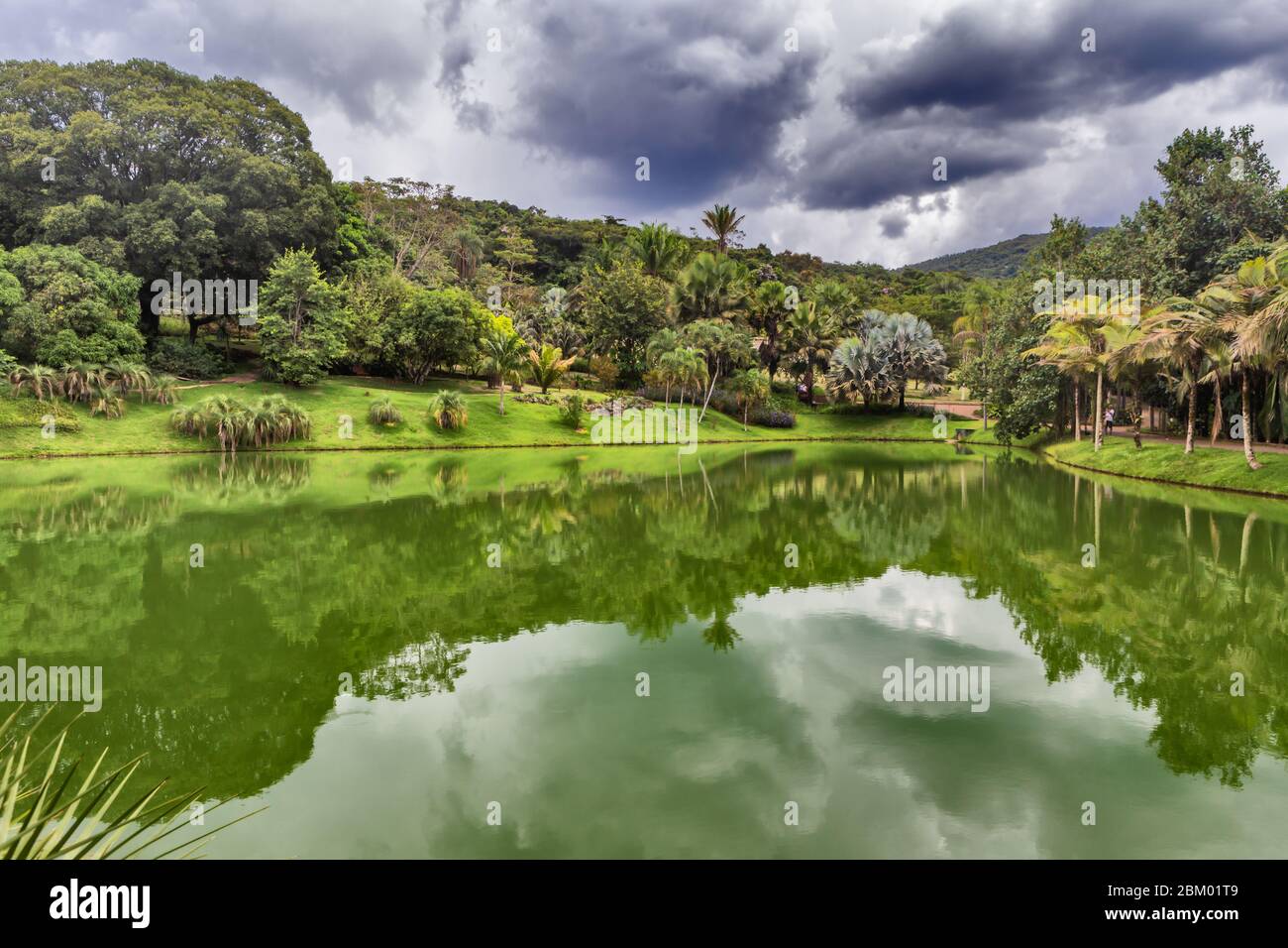 Park, Inhotim Institute, Brumadinho, Minas Gerais state, Brazil Stock ...