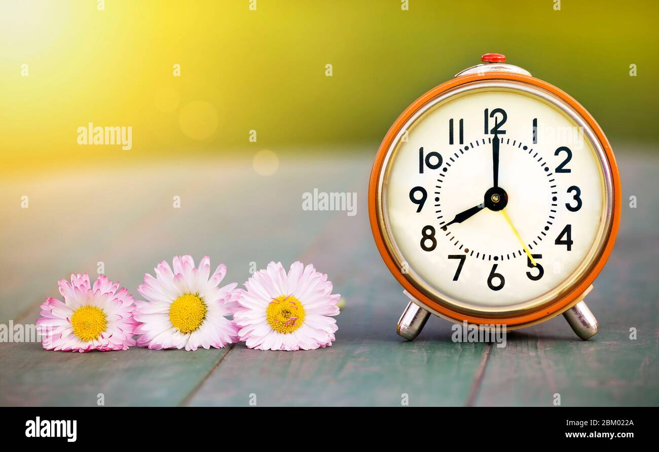 Summer vacation time background - white daisy flower and retro alarm ...