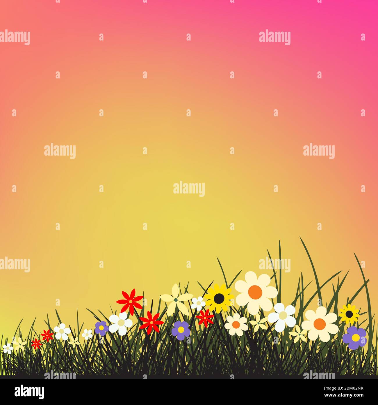 Daisy field in summer Stock Vector Images - Alamy