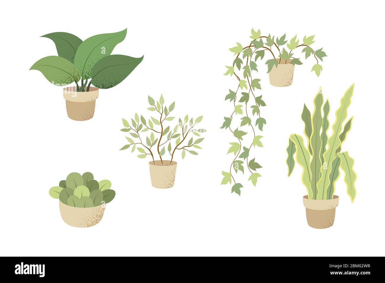 Pot plants poster hi-res stock photography and images - Alamy