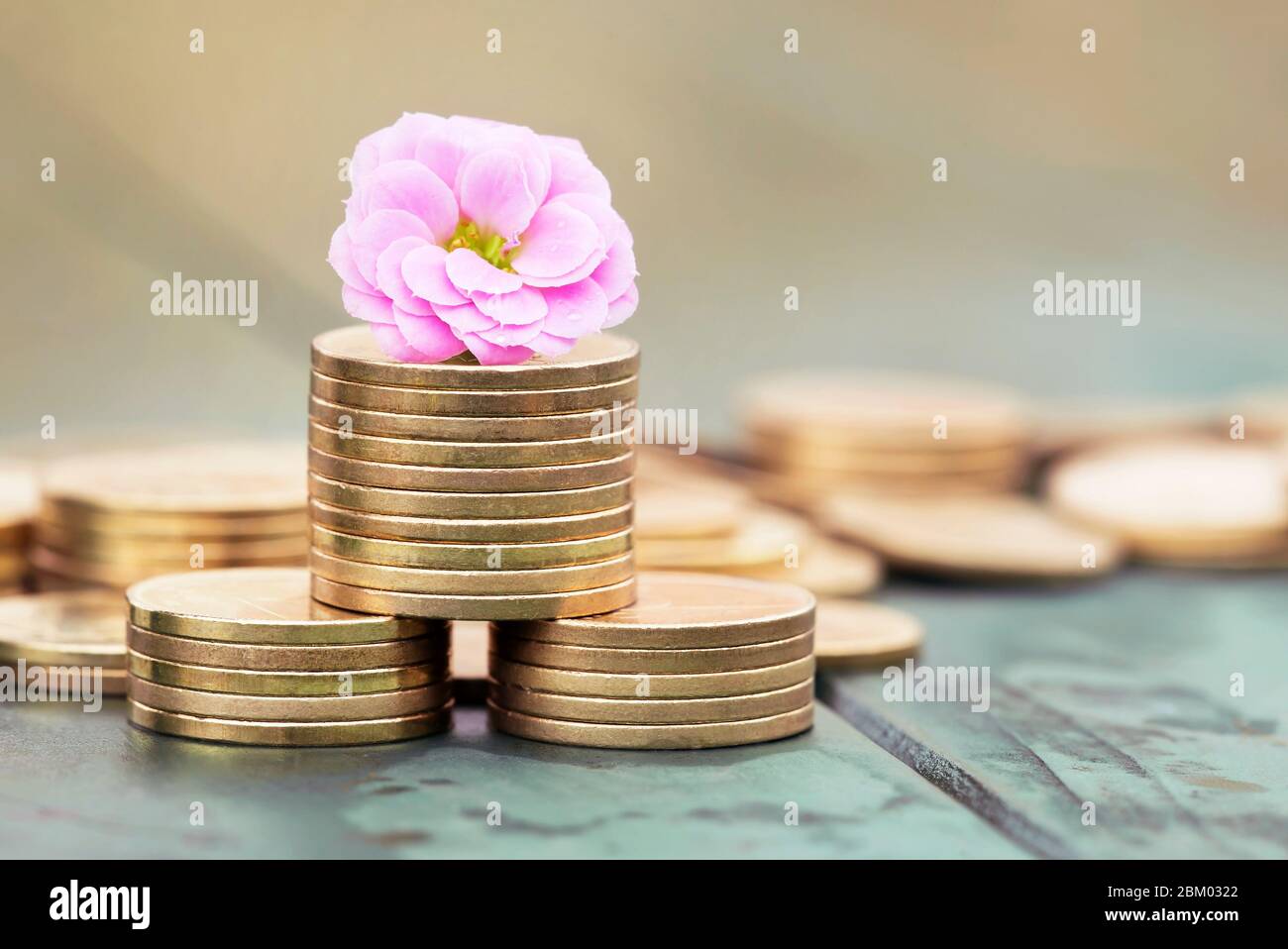 Money savings in spring - gold coins and pink flower Stock Photo - Alamy