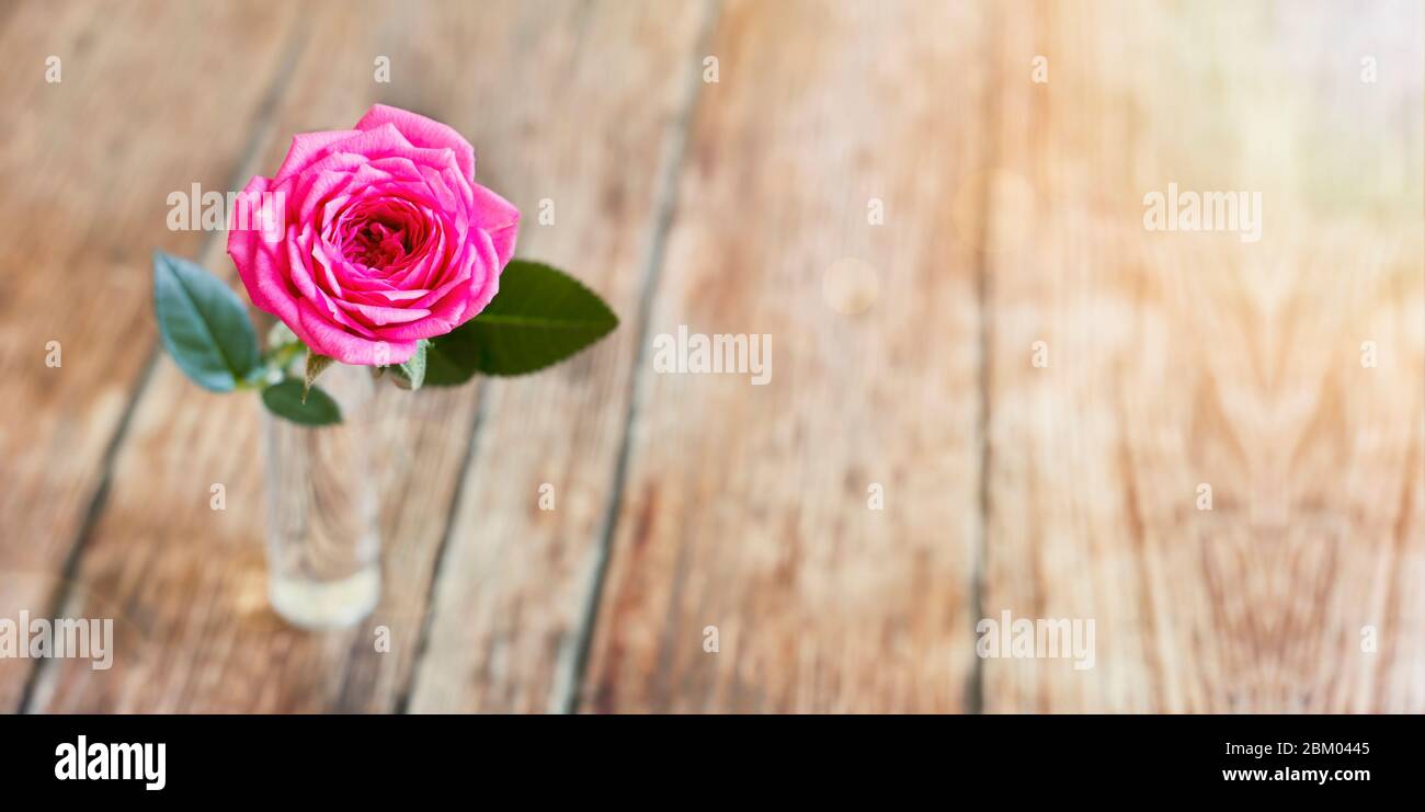 Flower coach hi-res stock photography and images - Alamy