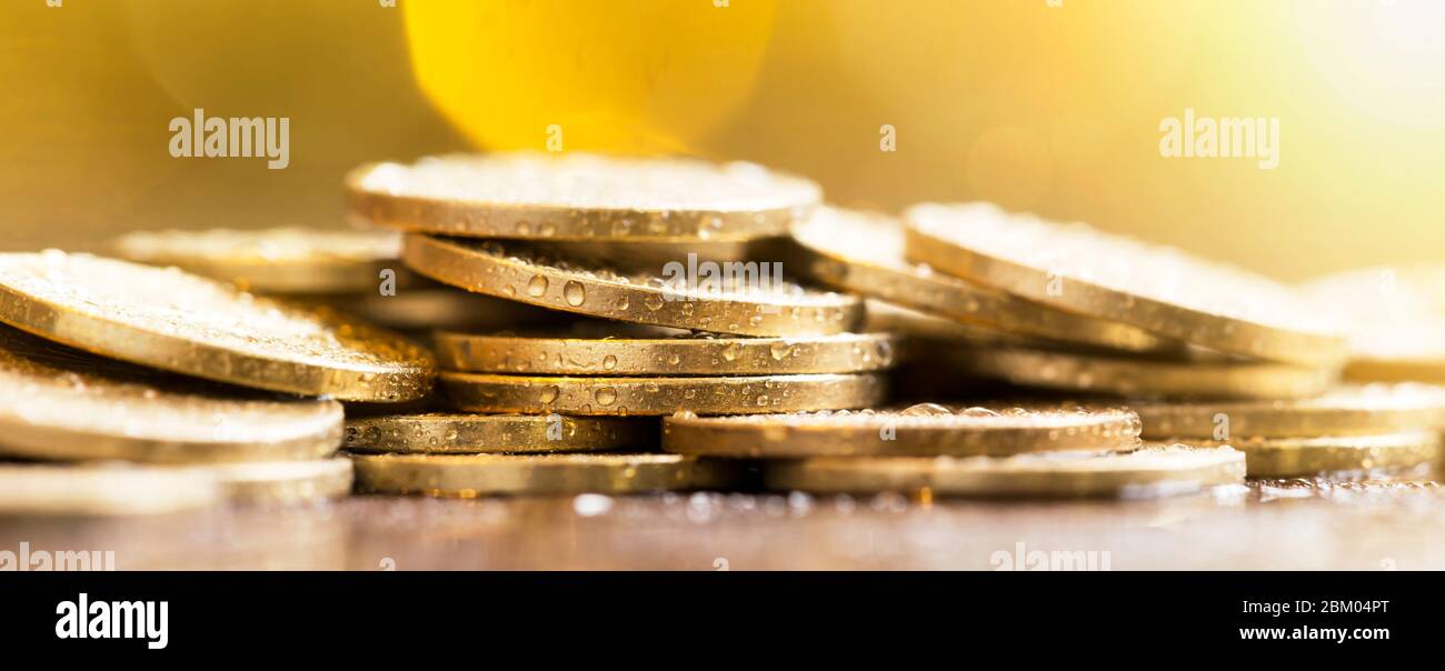 Financial Freedom Banner