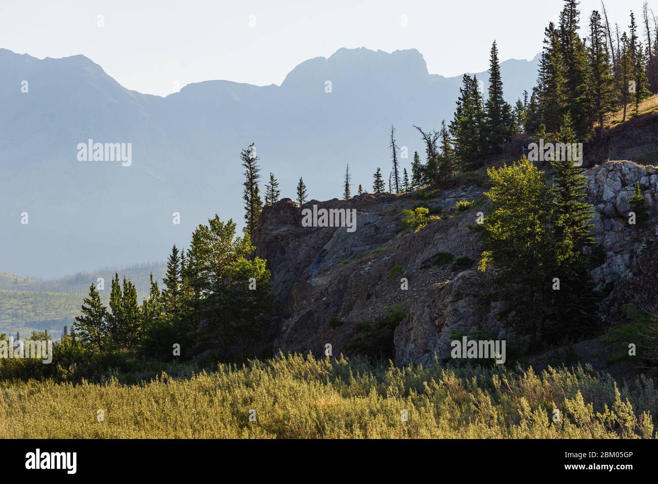 athabaska river sceneries along the Icefields Parkway, Alberta, Canada ...