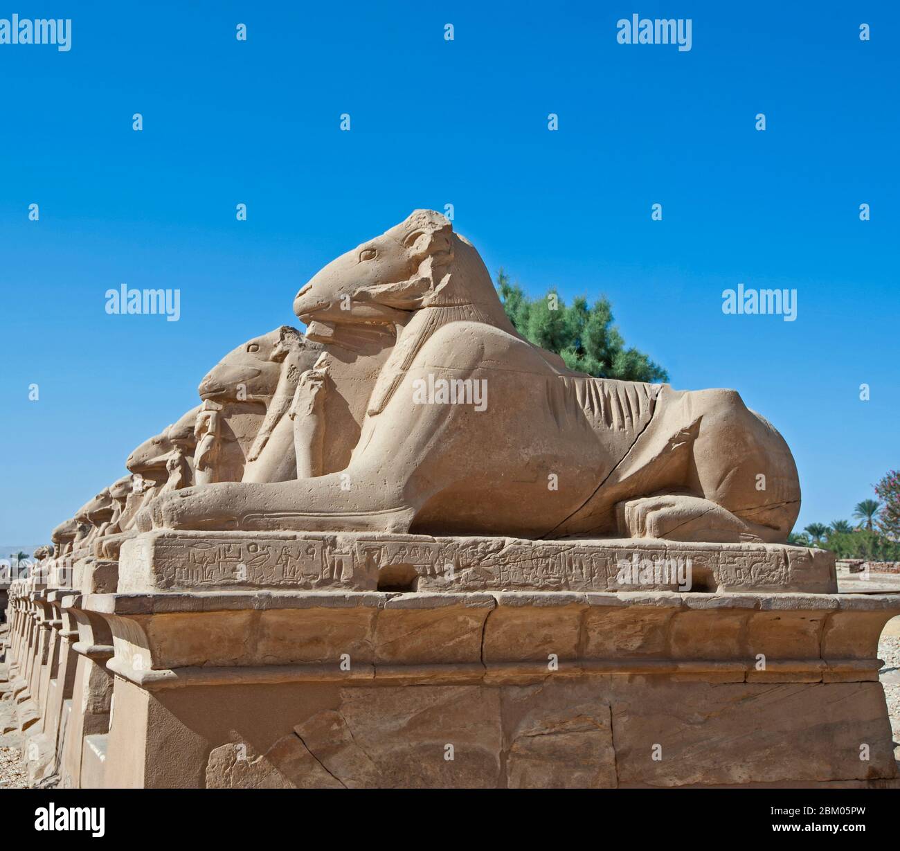 Row of ancient egyptian ram headed sphinxes in the avenue outside ...