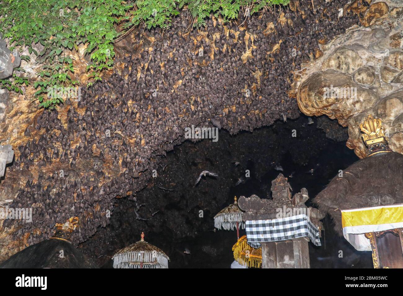 Sacred bat cave hi-res stock photography and images - Alamy