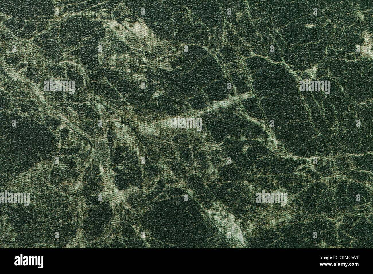 Dark Green Marble Texture