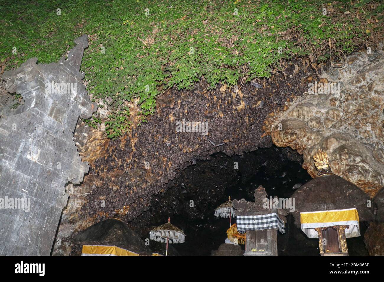 Balinese religion worship animal hi-res stock photography and images ...