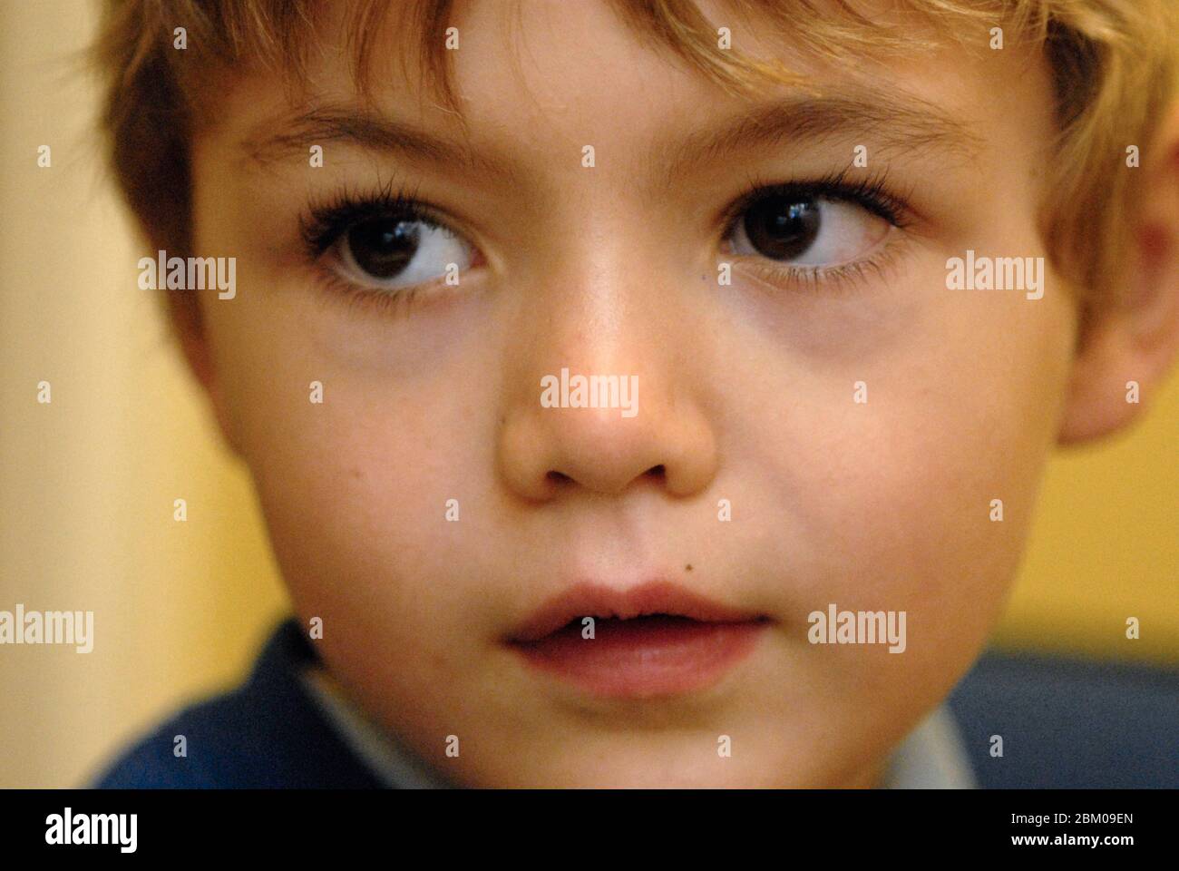 6 Year Old Boy UK Stock Photo Alamy 6-year-old-boy-uk-stock-photo-alamy