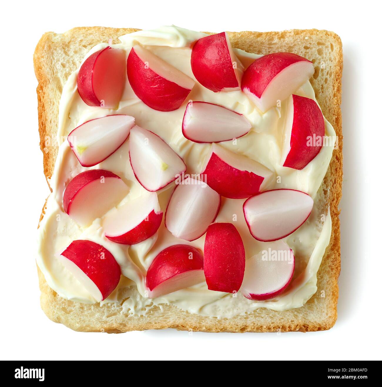 toasted bread with fresh cream cheese and radish isolated on white ...
