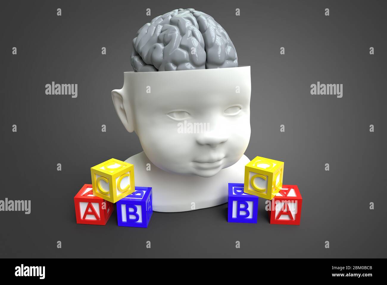 Model of the child's head and brain. Conceptual 3d illustration that ...