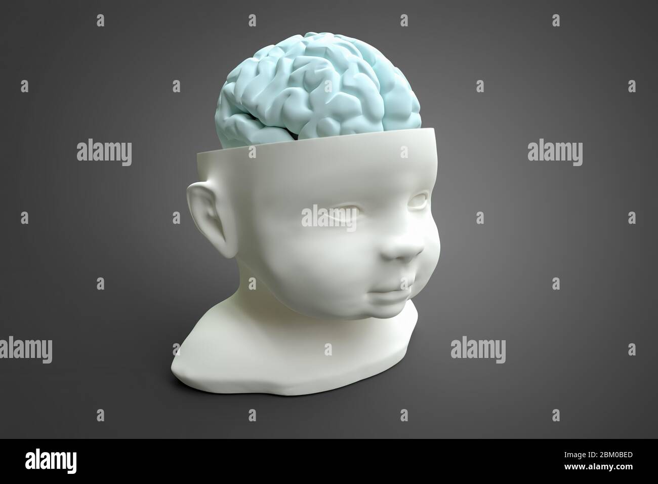 Model of the child's head and brain. Conceptual 3d illustration that ...