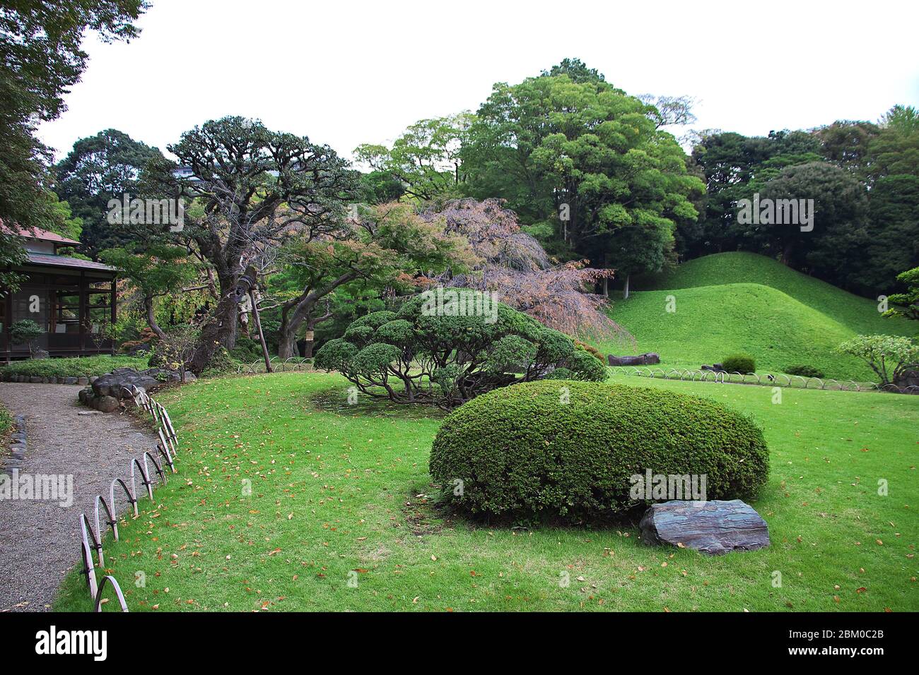The park in the downtown, Tokyo, Japan Stock Photo - Alamy