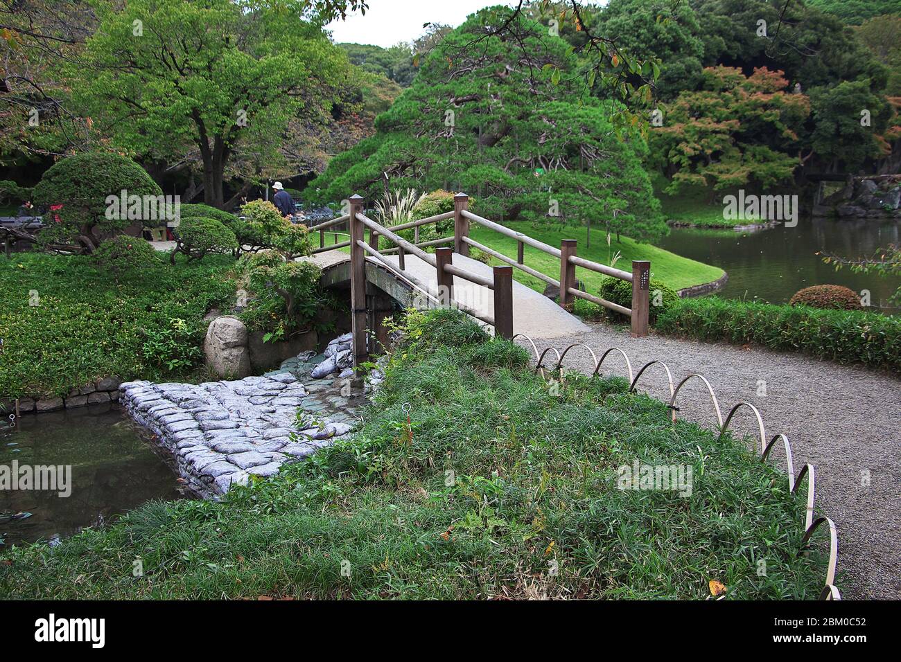 The park in the downtown, Tokyo, Japan Stock Photo - Alamy