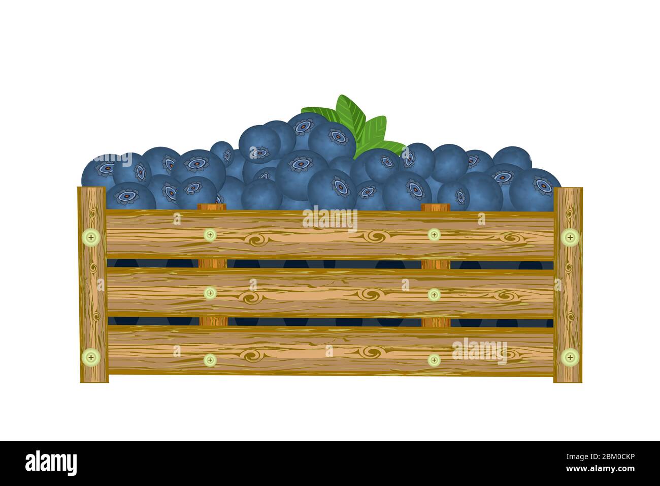 Blueberry Farm Clip Art