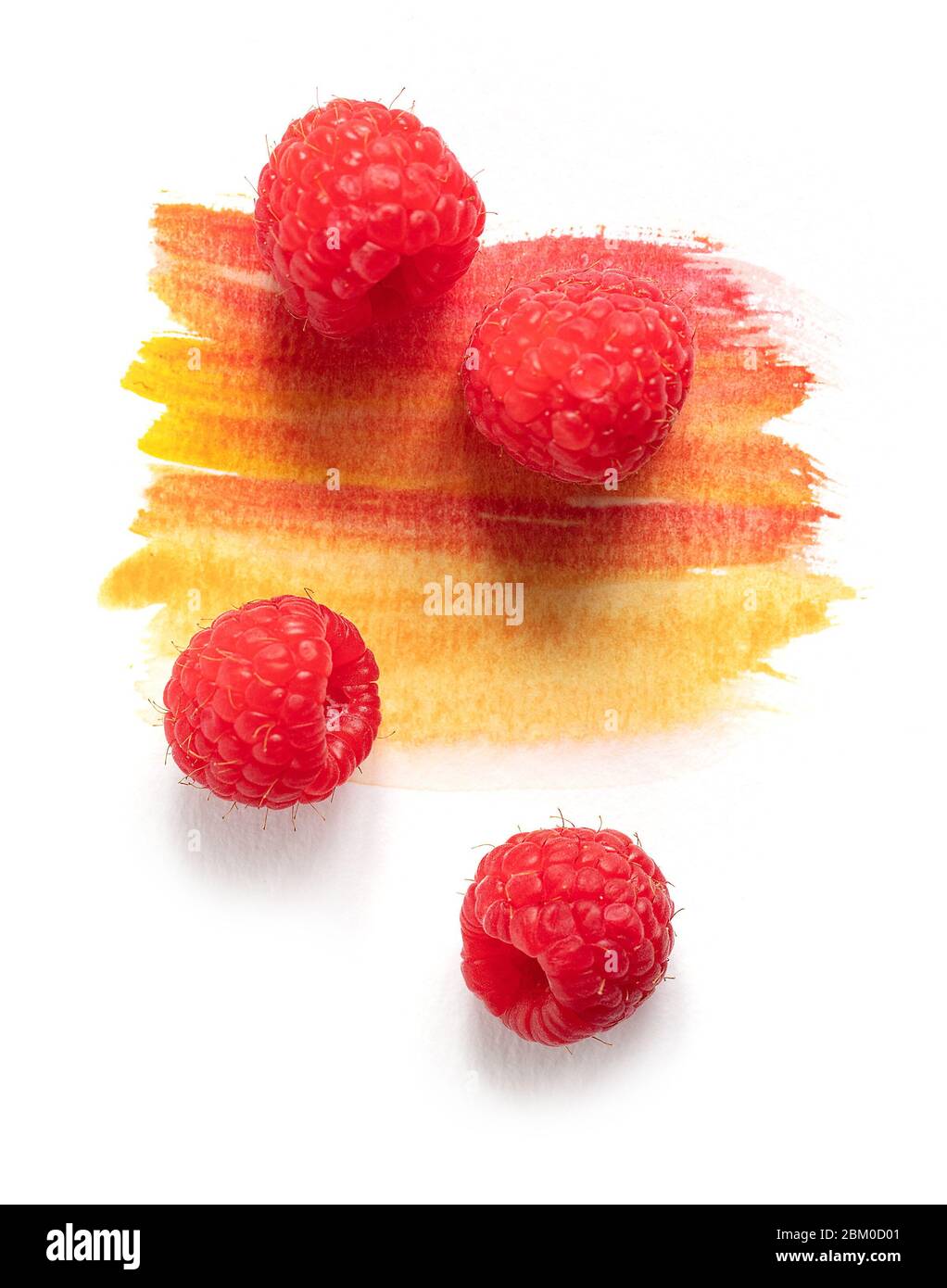 Raspberries drawing hi-res stock photography and images - Alamy