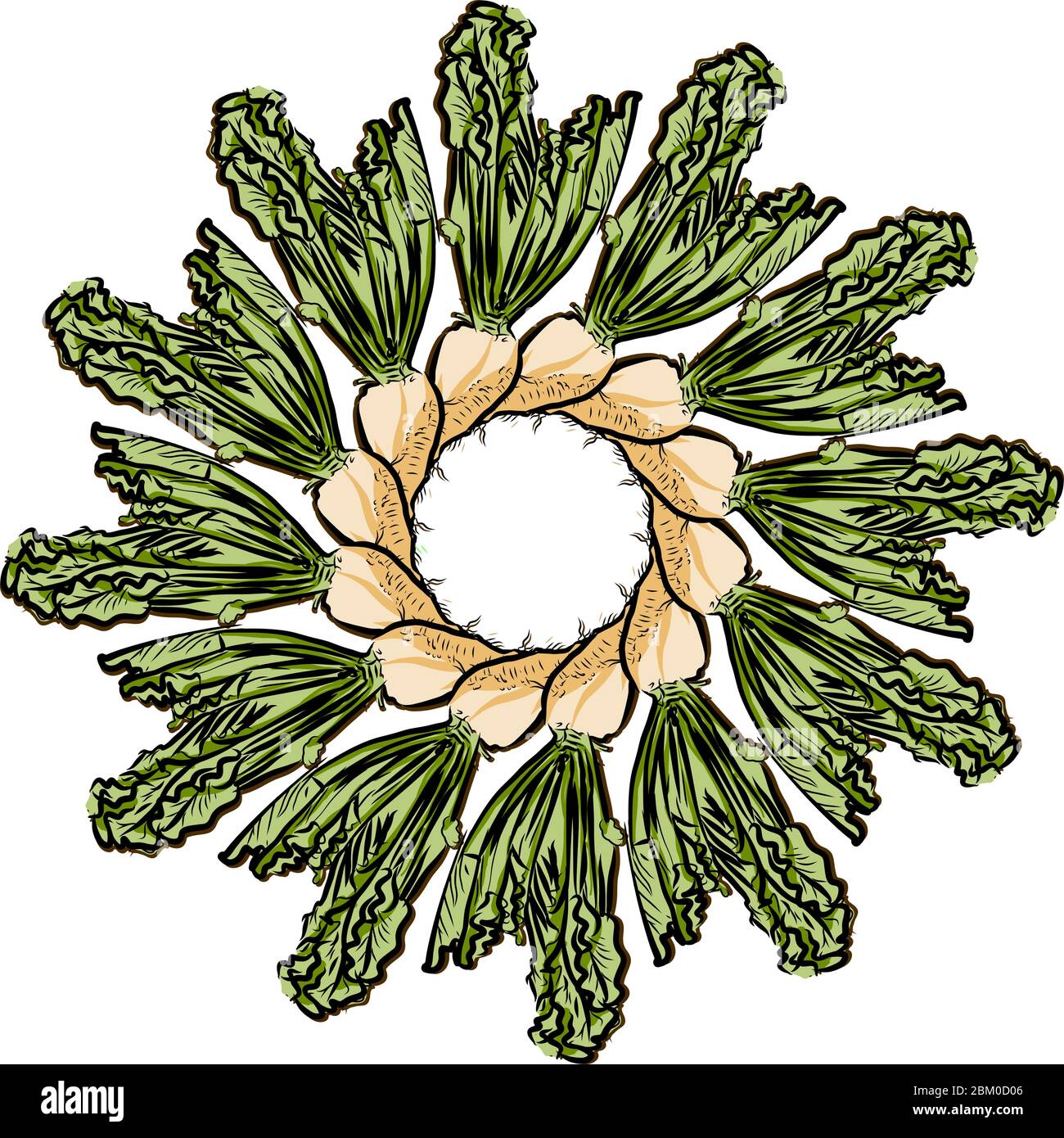 Sugarbeet illustration hi-res stock photography and images - Alamy