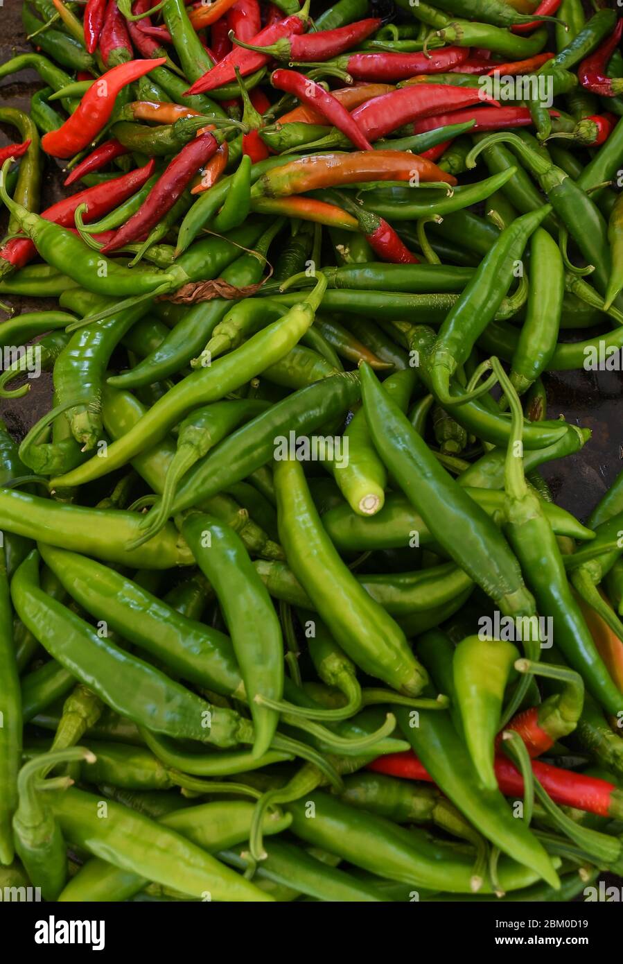Green and red chili on a counter top of a store during food festival ...
