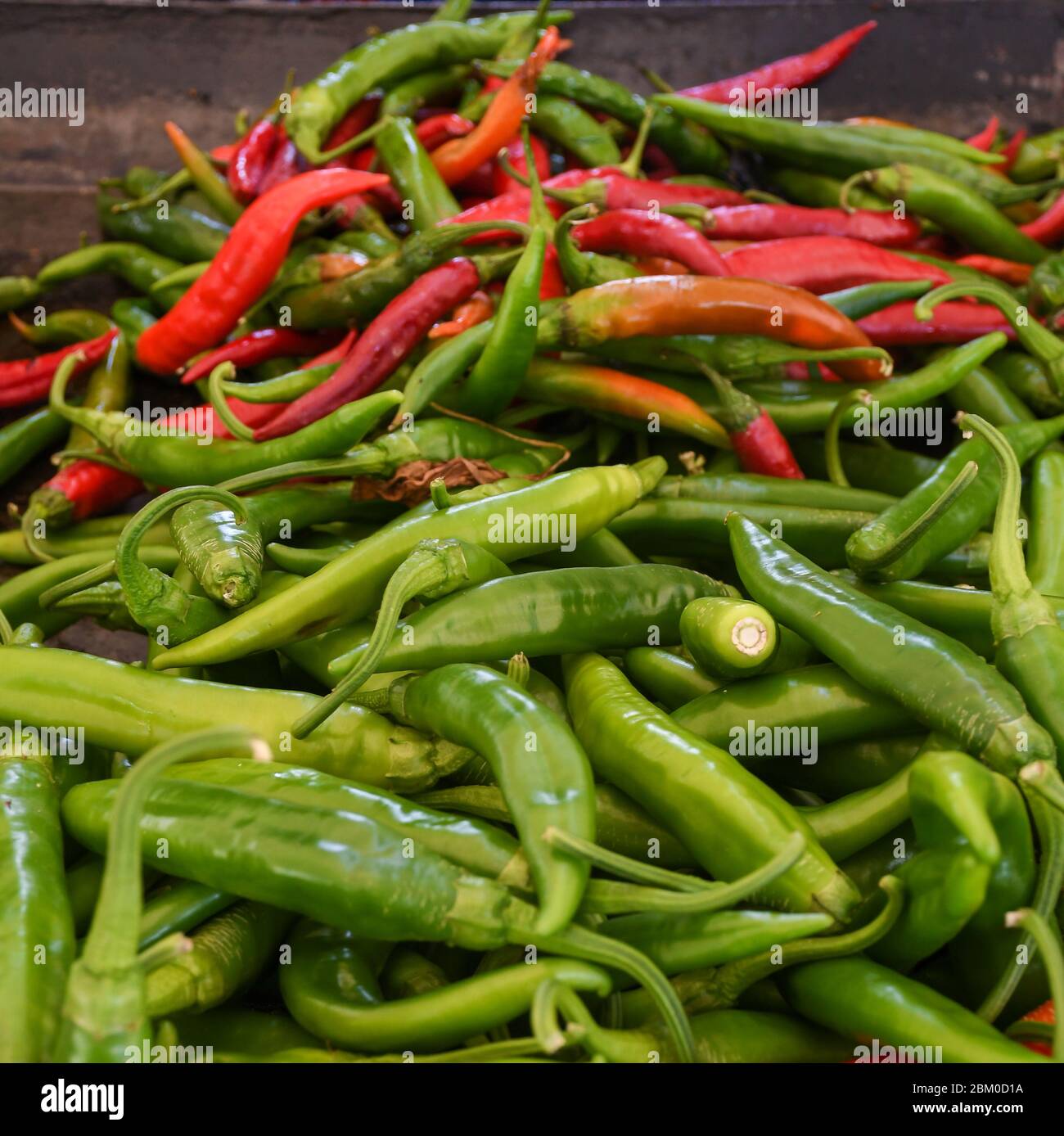 Green and red chili on a counter top of a store during food festival ...