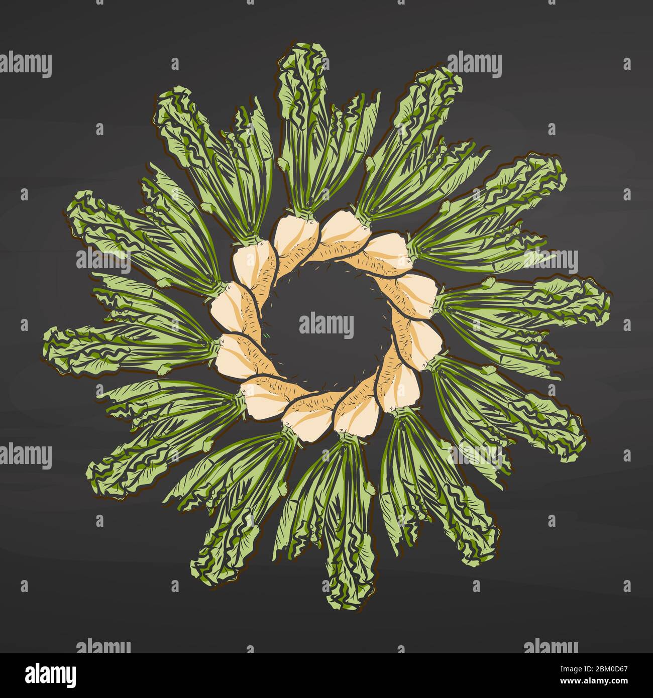 Sugar Beet arranged in a circle. Seamless round composition with hand ...