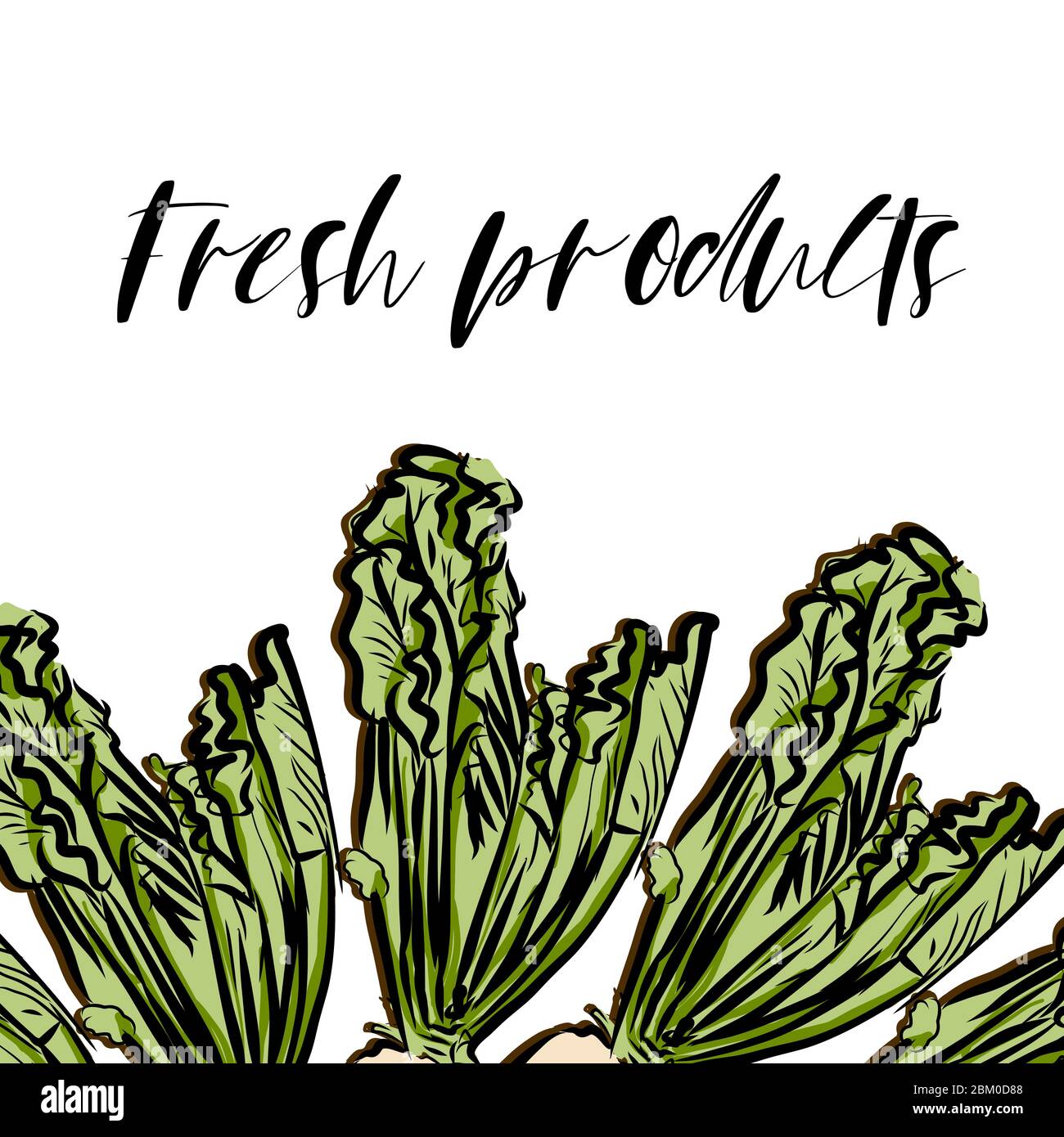 Fresh products lettering and Sugar Beet advertising template. Hand ...