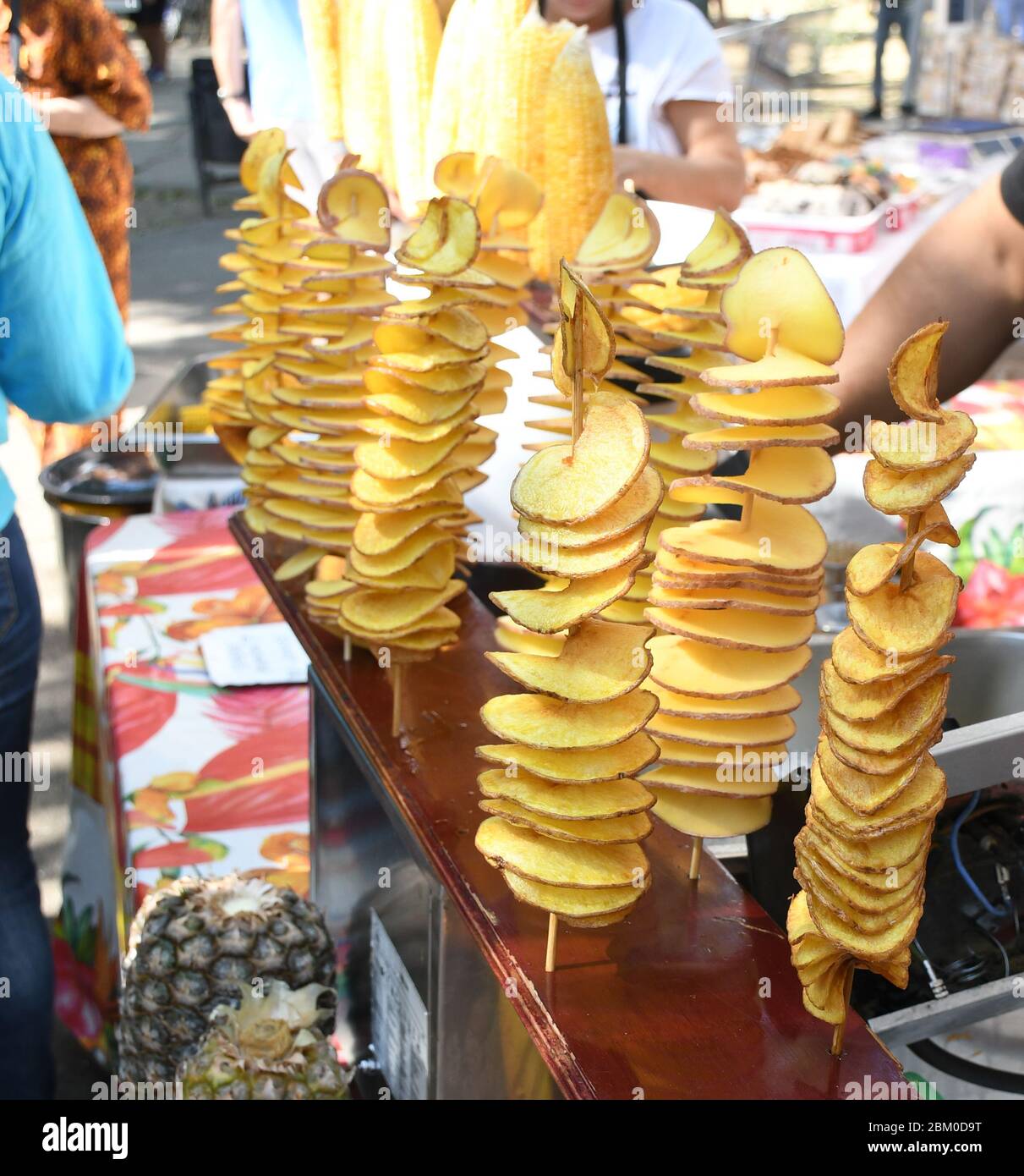 Fried swirl potato spiral on a stick during street food festival. Fast ...