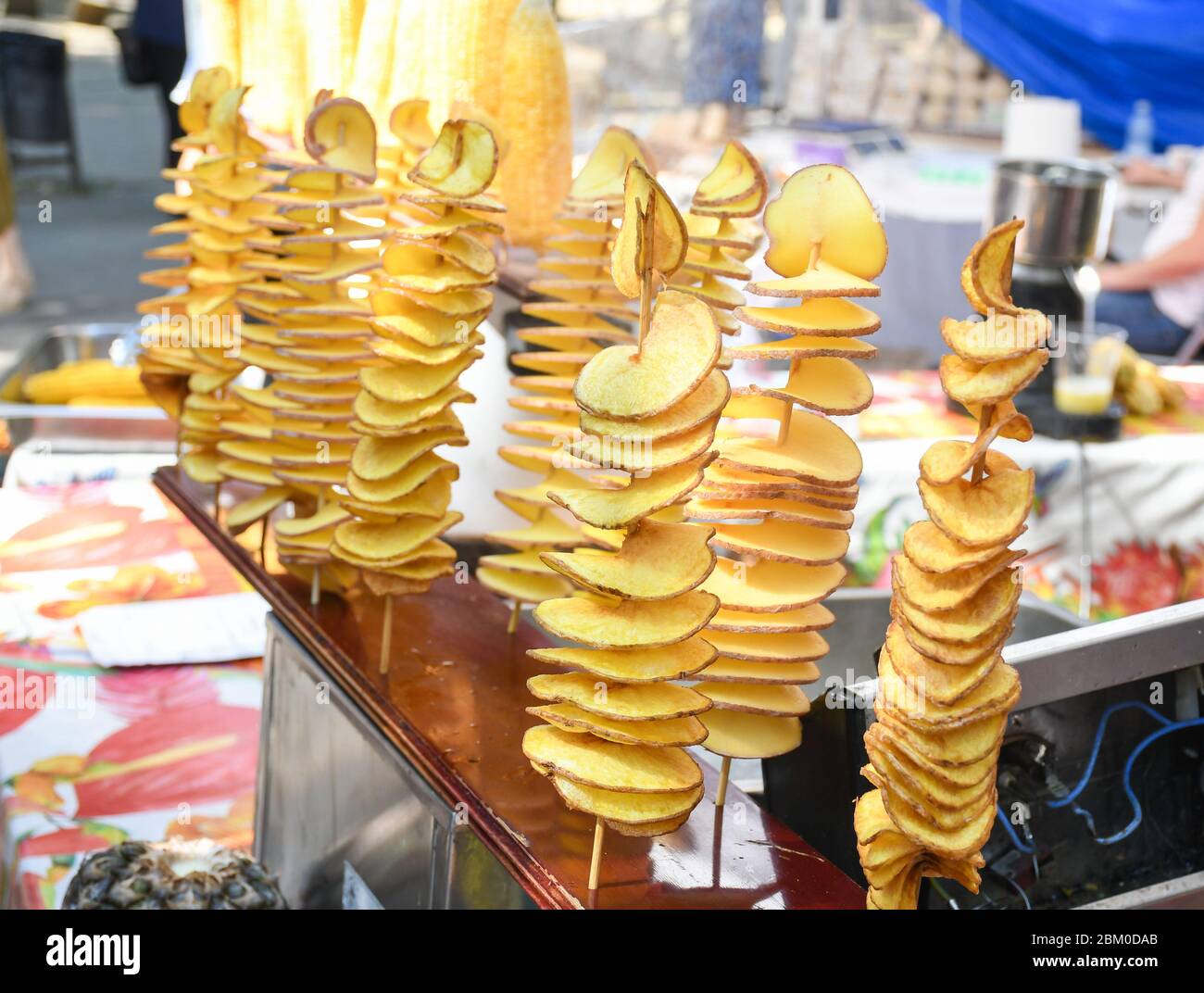 Fried swirl potato spiral on a stick during street food festival. Fast ...