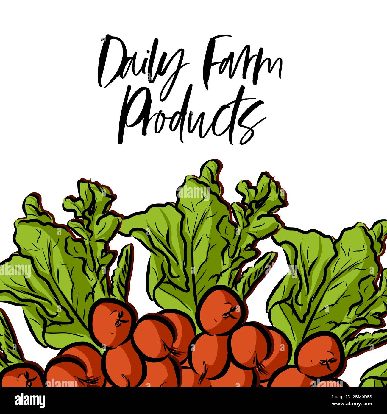 Daily Farm Products lettering and Radishes advertising template. Hand ...