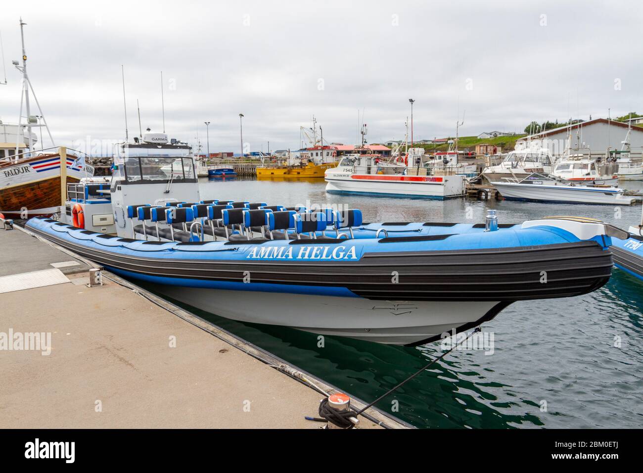 The Gentle Giants Amma Helga RIB speedboat whale watching boat in ...