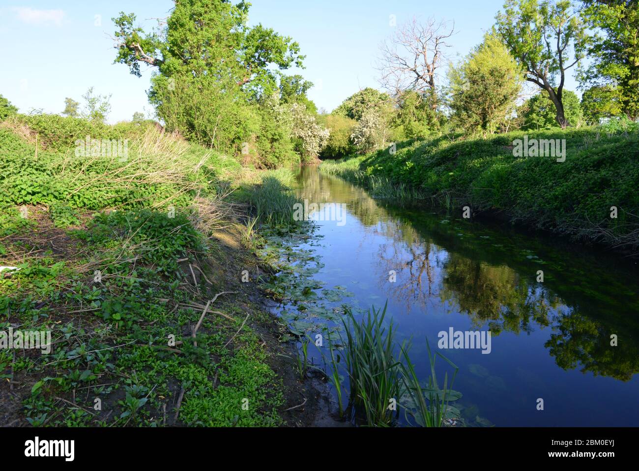 The River Mole in Horley, Surrey in May 2020 Stock Photo - Alamy