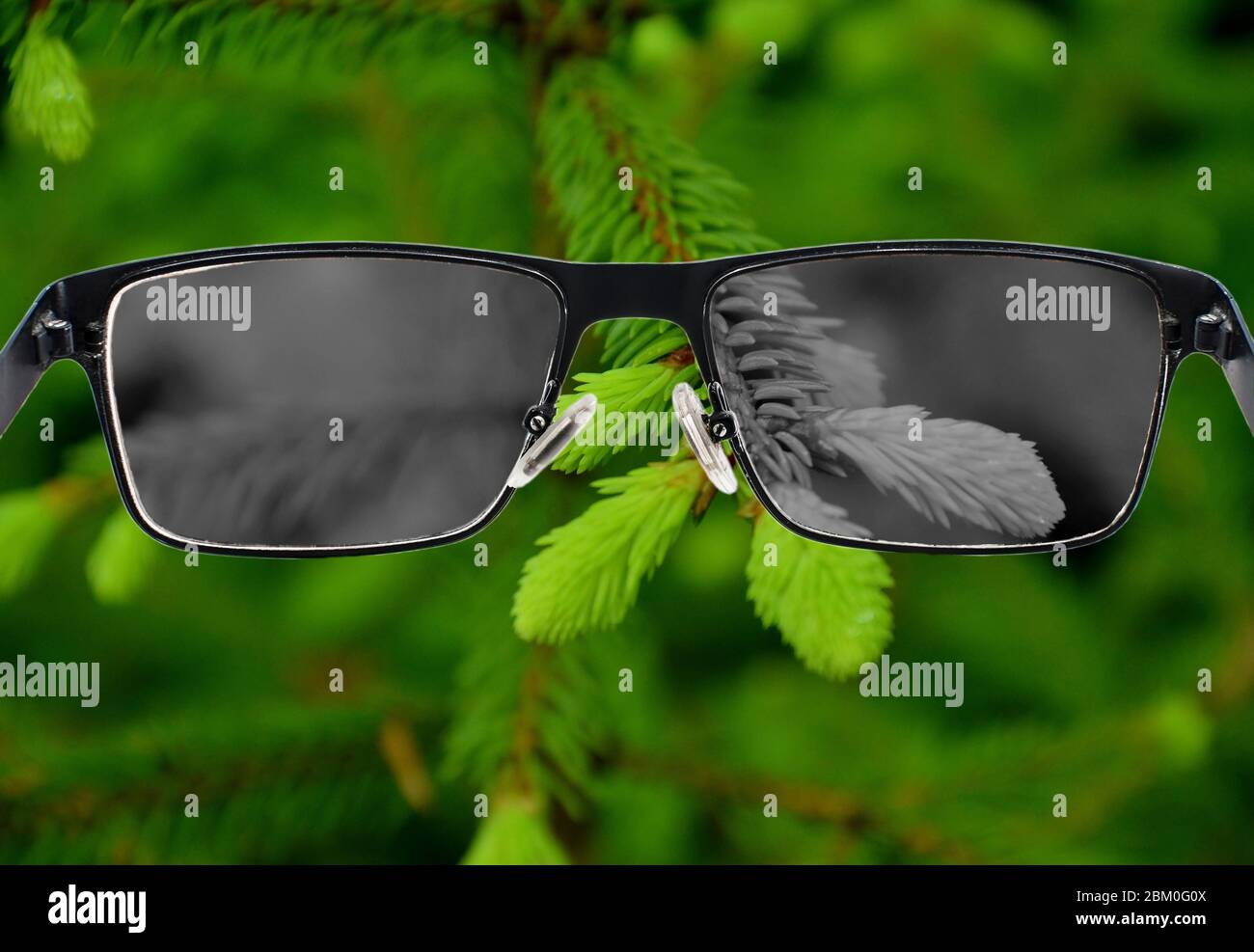 Looking through glasses to bleach nature landscape with green fresh ...
