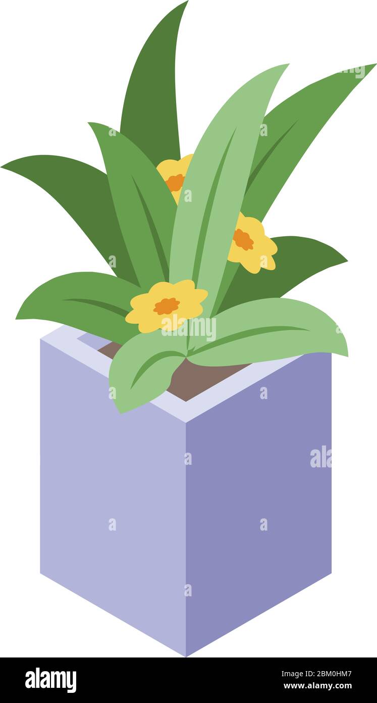 Begonia flower isolated Stock Vector Images - Alamy