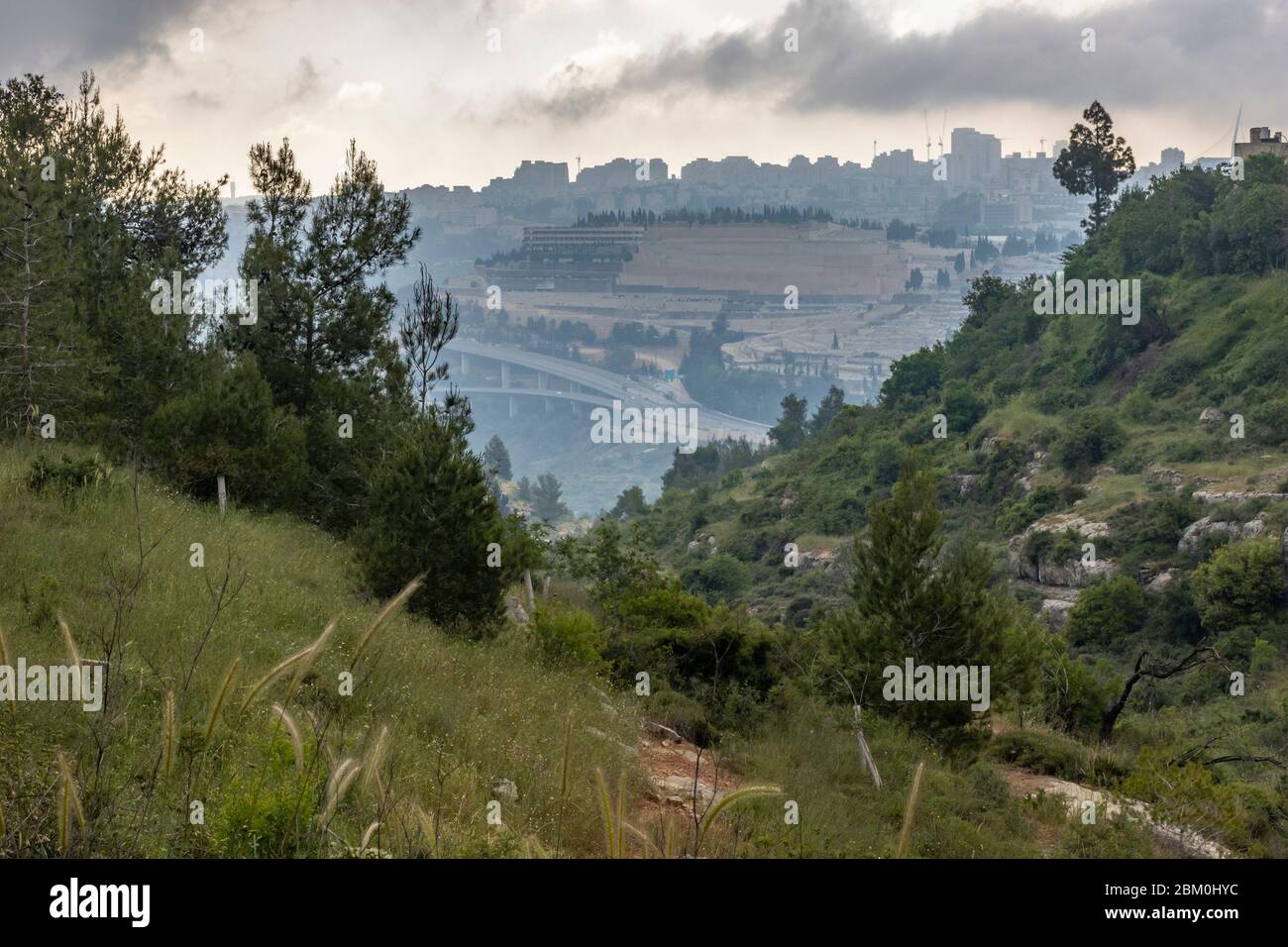 Jerusalem forest cemetery hi-res stock photography and images - Alamy