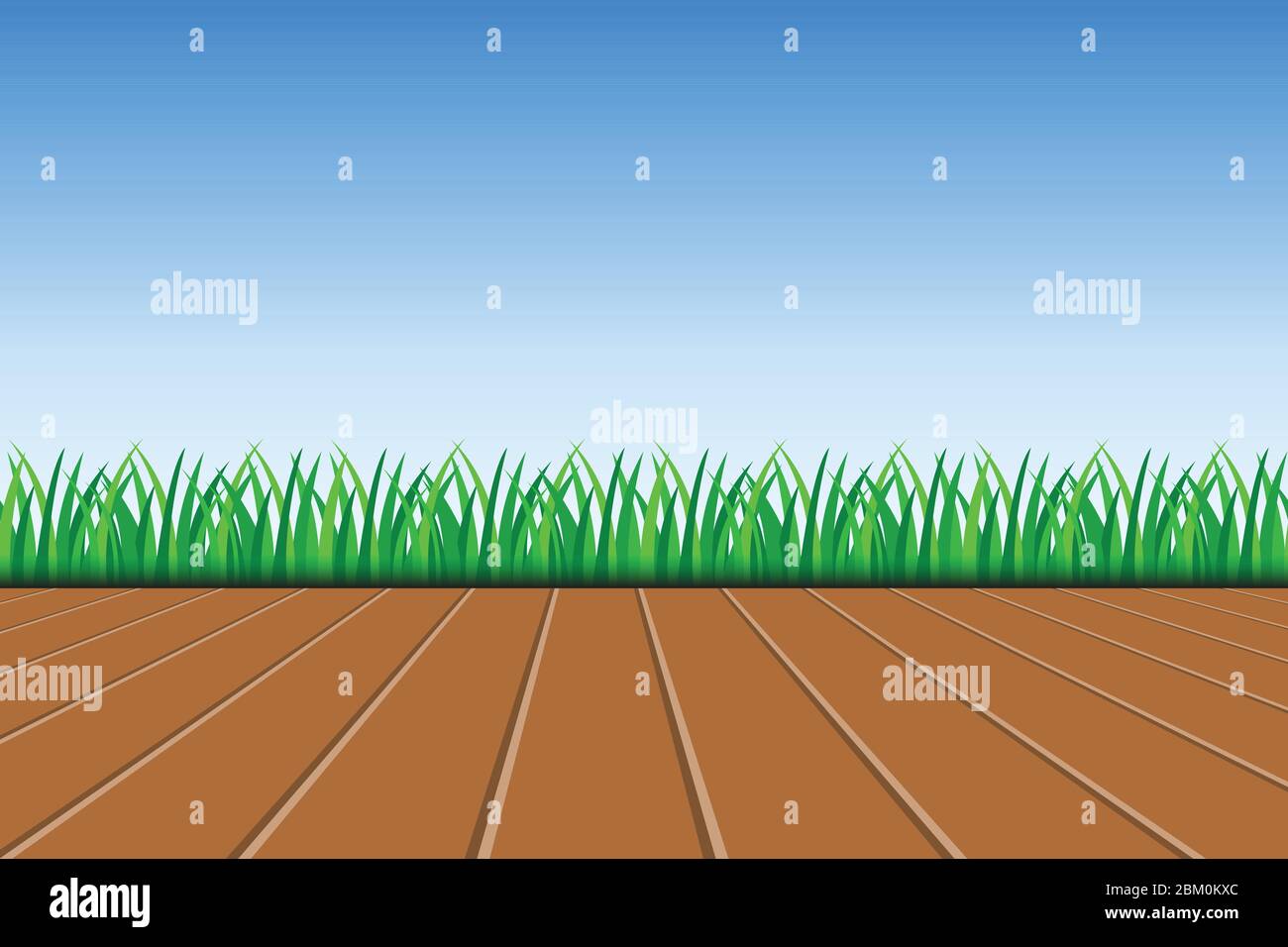 Background of green grass, wooden deck and blue sky vector illustration ...