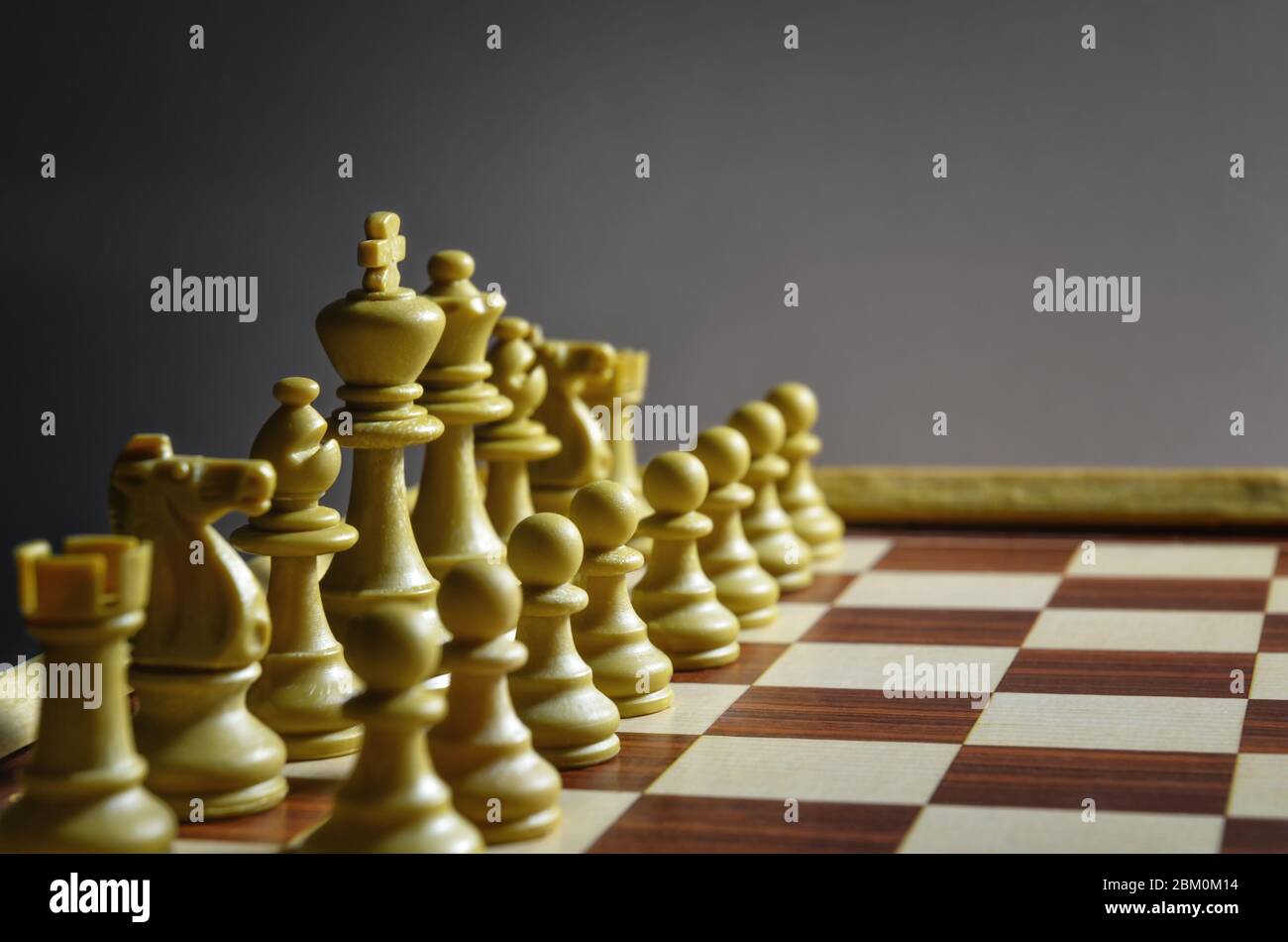 Chess board with white pieces in position and gray background Stock ...