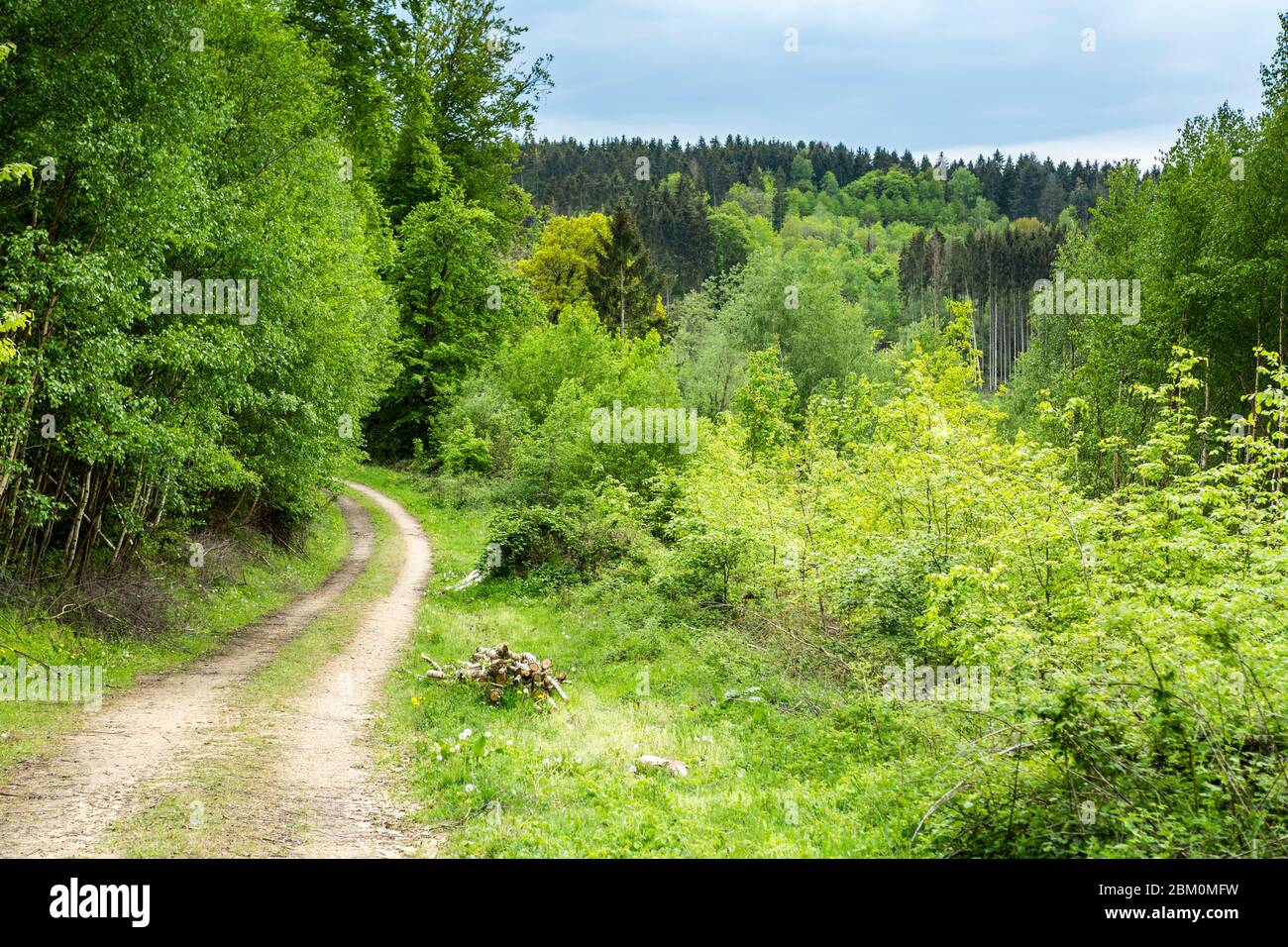 Empty curvy road leading hi-res stock photography and images - Alamy