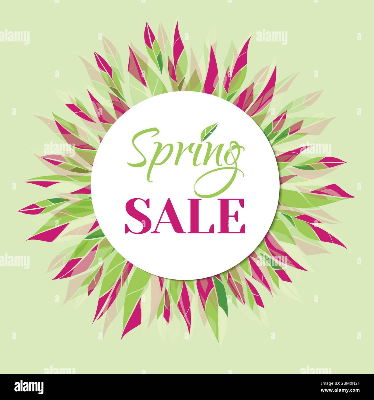 Spring natural special offer hi-res stock photography and images - Alamy