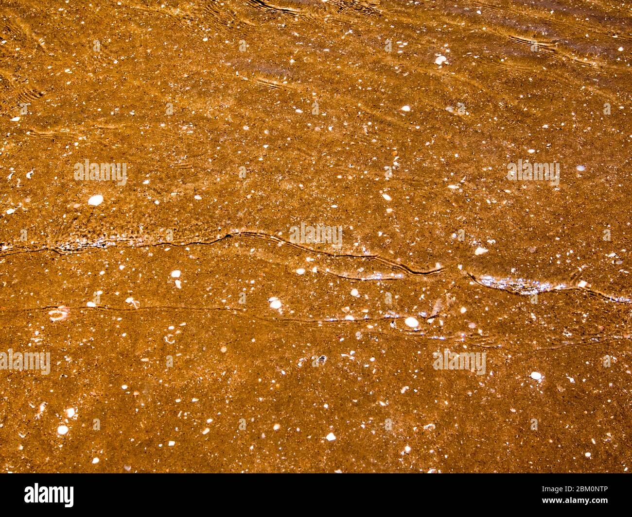 Light reflection on the surface of movement sea on sand beach Stock ...