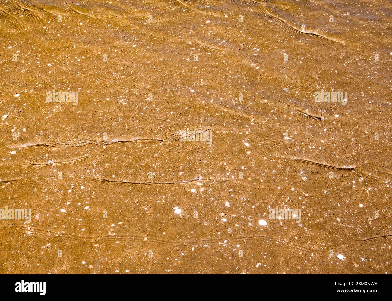 Light reflection on the surface of movement sea on sand beach Stock ...