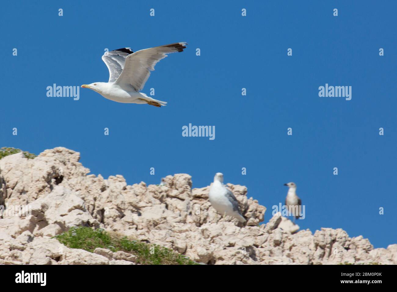 Flying stones hi-res stock photography and images - Alamy