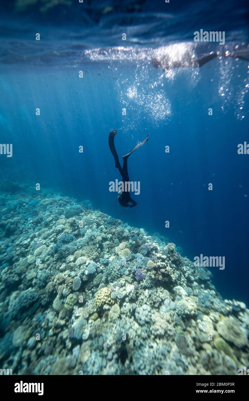 Blue hole egypt hi-res stock photography and images - Alamy