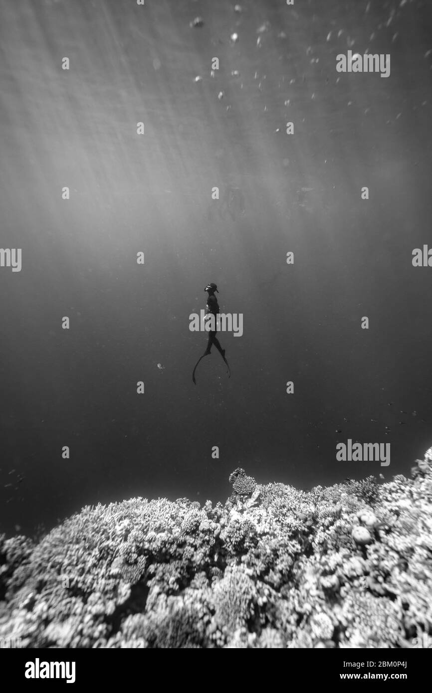 Egypt dahab blue hole diving hi-res stock photography and images - Alamy