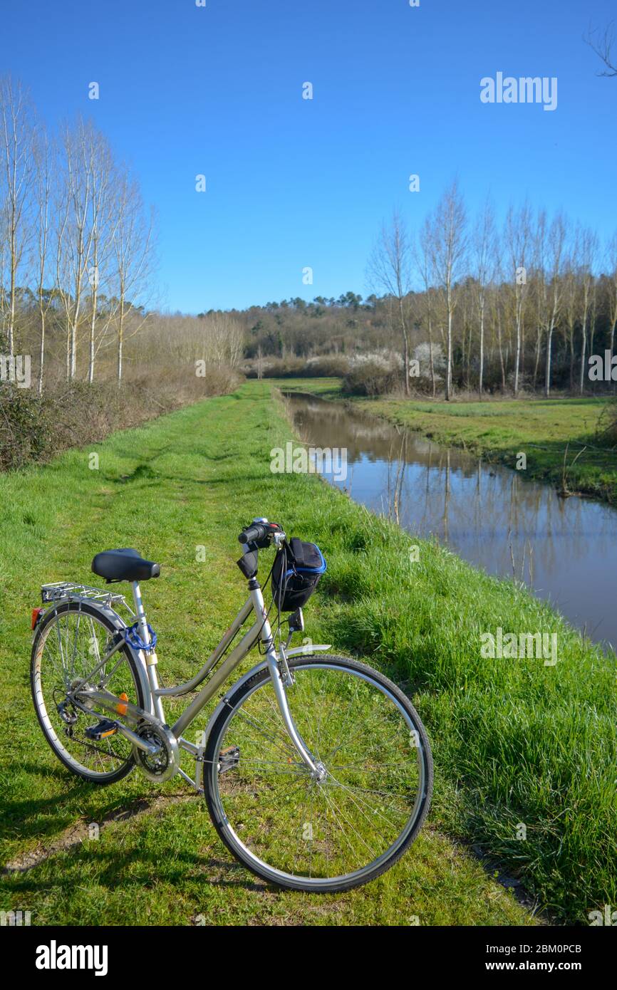 White lady bike on the boardwalk of a river. Bicycle ride on a sunny ...